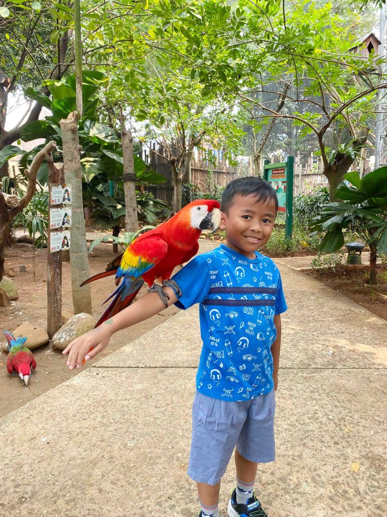 Pengalaman Seru di Jakarta Bird Land Ancol Bersama Keluarga