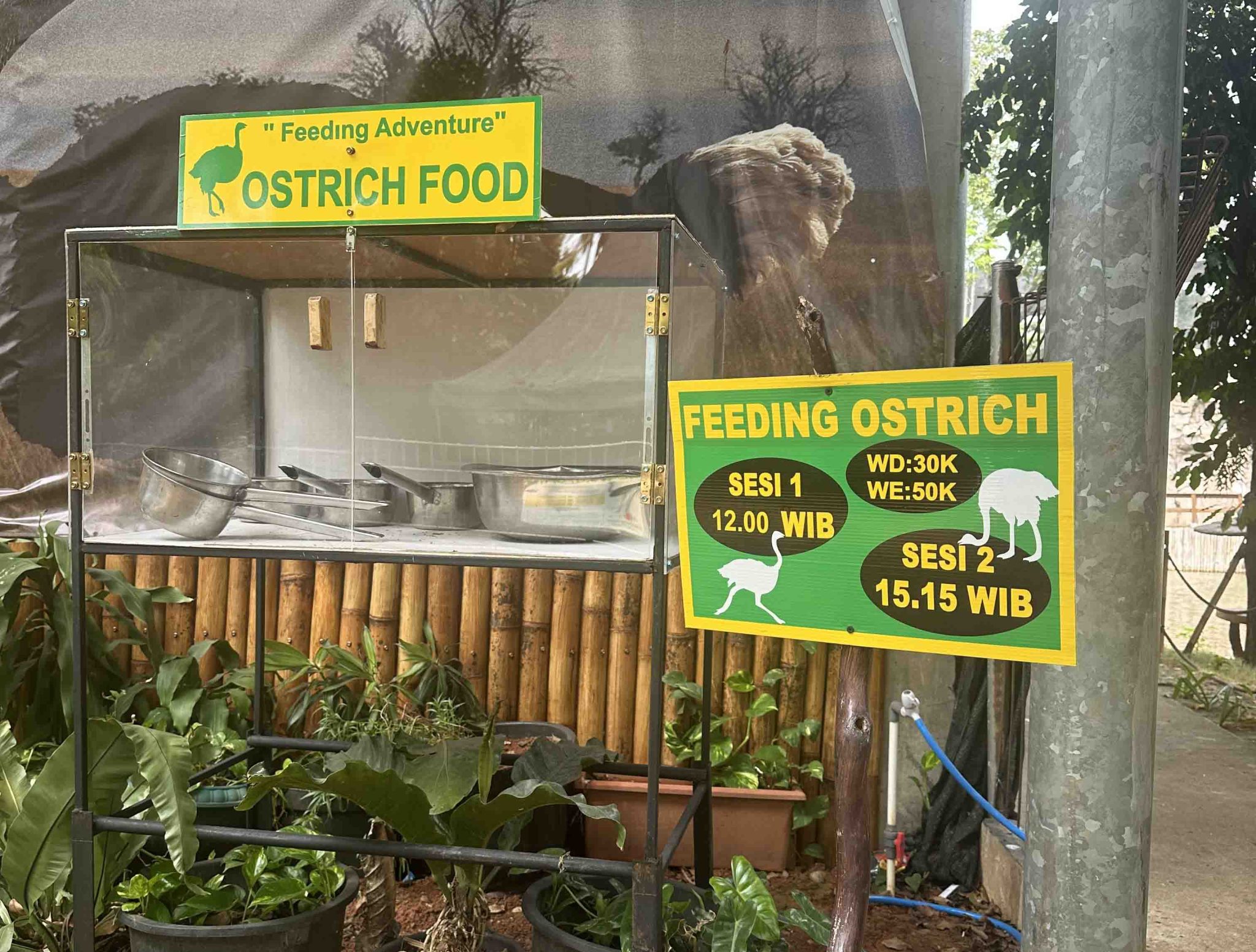 Pengalaman Seru di Jakarta Bird Land Ancol Bersama Keluarga